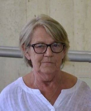 Nancy L. Panek | News, Sports, Jobs - Observer Today